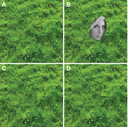 Texture Inpainting Using Covariance in Wavelet Domain