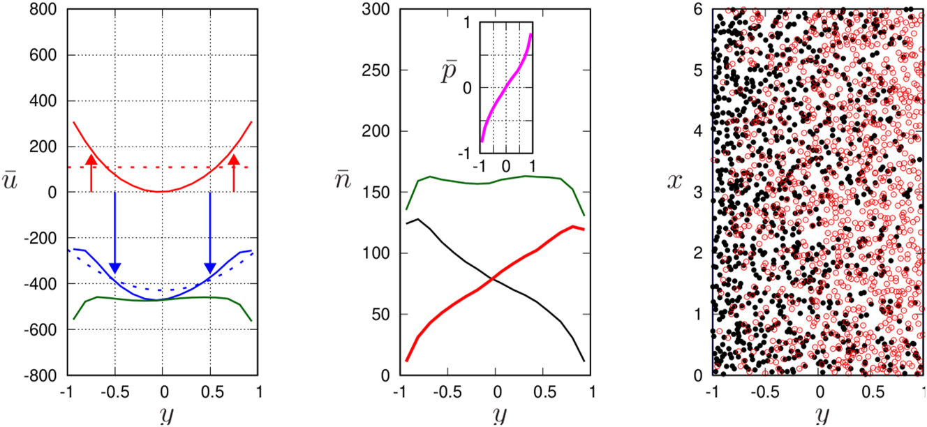 The wall effect in a plane counterflow channel