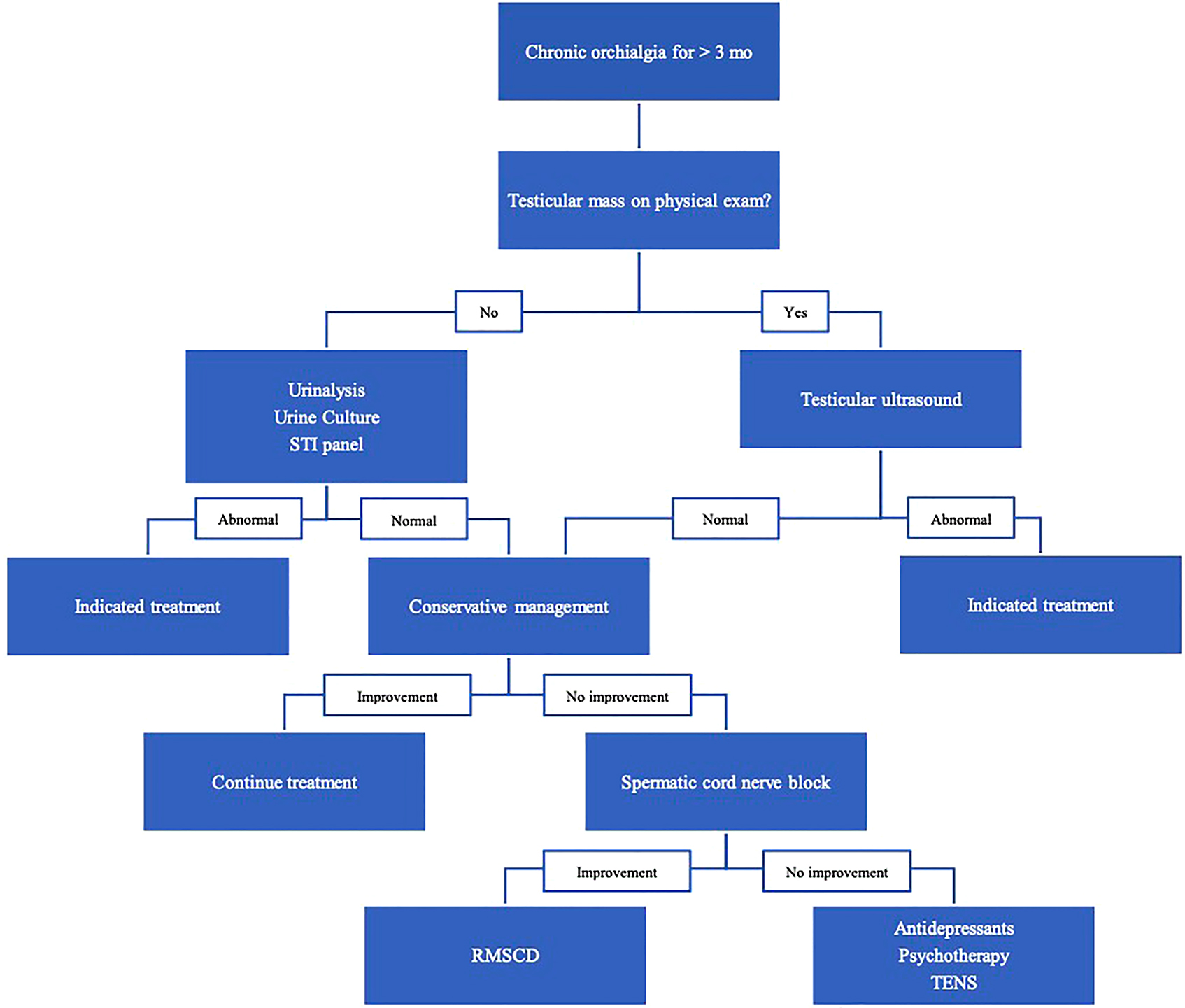 Robotic microsurgical spermatic cord denervation for chronic orchialgia ...