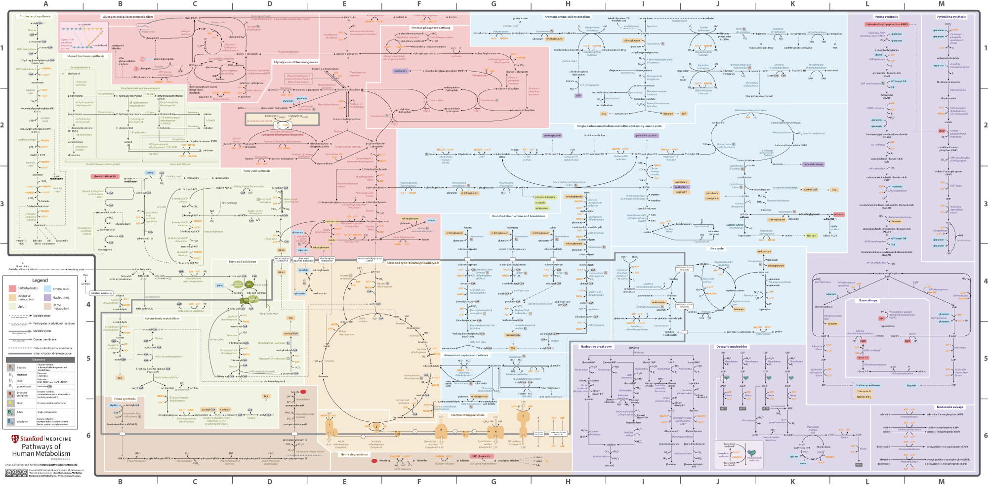The effectiveness of the metabolic map in promoting meaningful learning