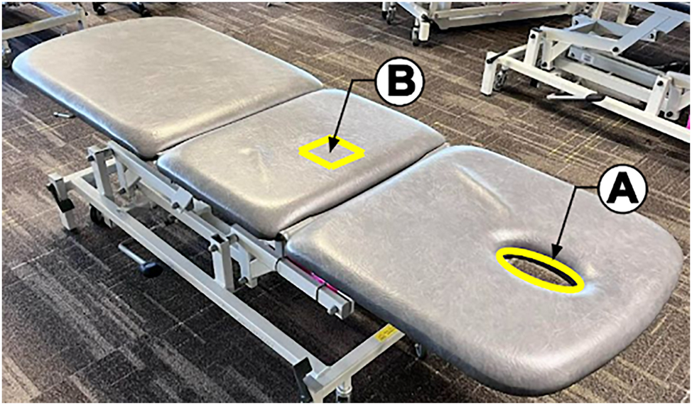 The effectiveness of disinfection protocols in medical school ...