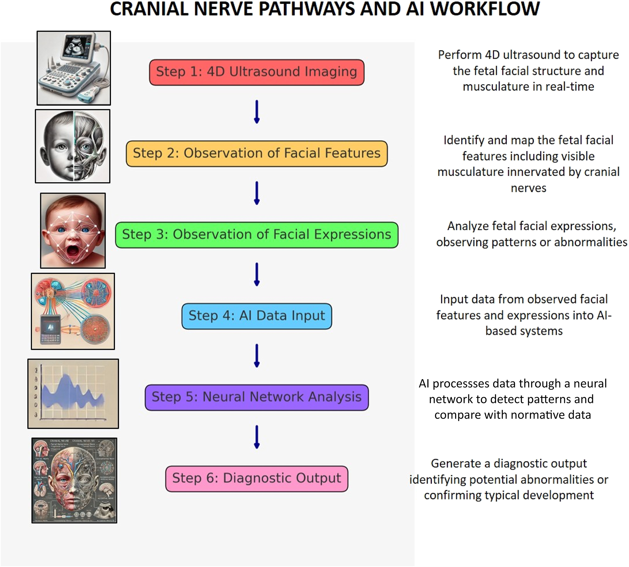 AI and early diagnostics: mapping fetal facial expressions through ...