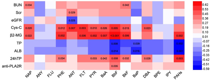 Benzo[b]fluoranthene is involved in idiopathic membranous...