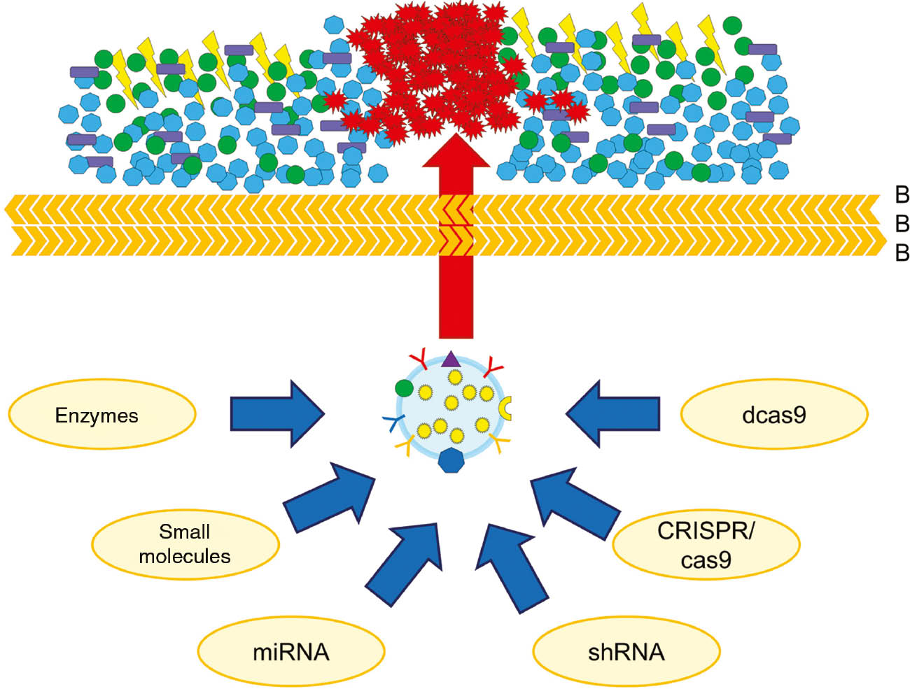 Emergence of exosomal DNA in molecular neuropathology