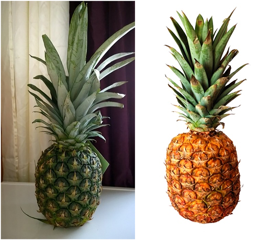 Determiner spreading in Rukiga