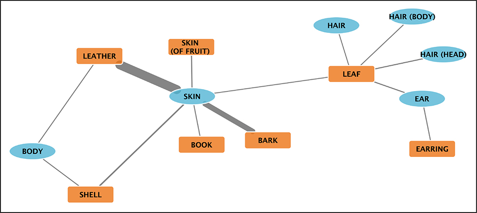 Objects as human bodies: cross-linguistic colexifications between words ...
