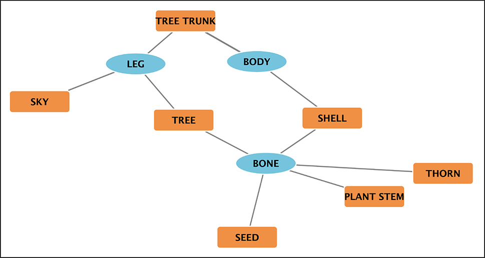 Objects as human bodies: cross-linguistic colexifications between words ...
