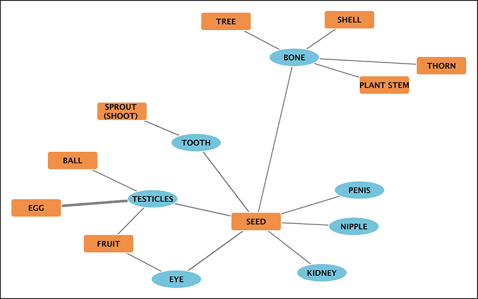 Objects as human bodies: cross-linguistic colexifications between words ...