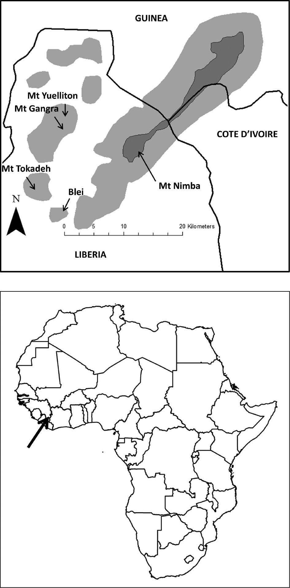 The conservation status of a poorly known range-restricted mammal, the ...