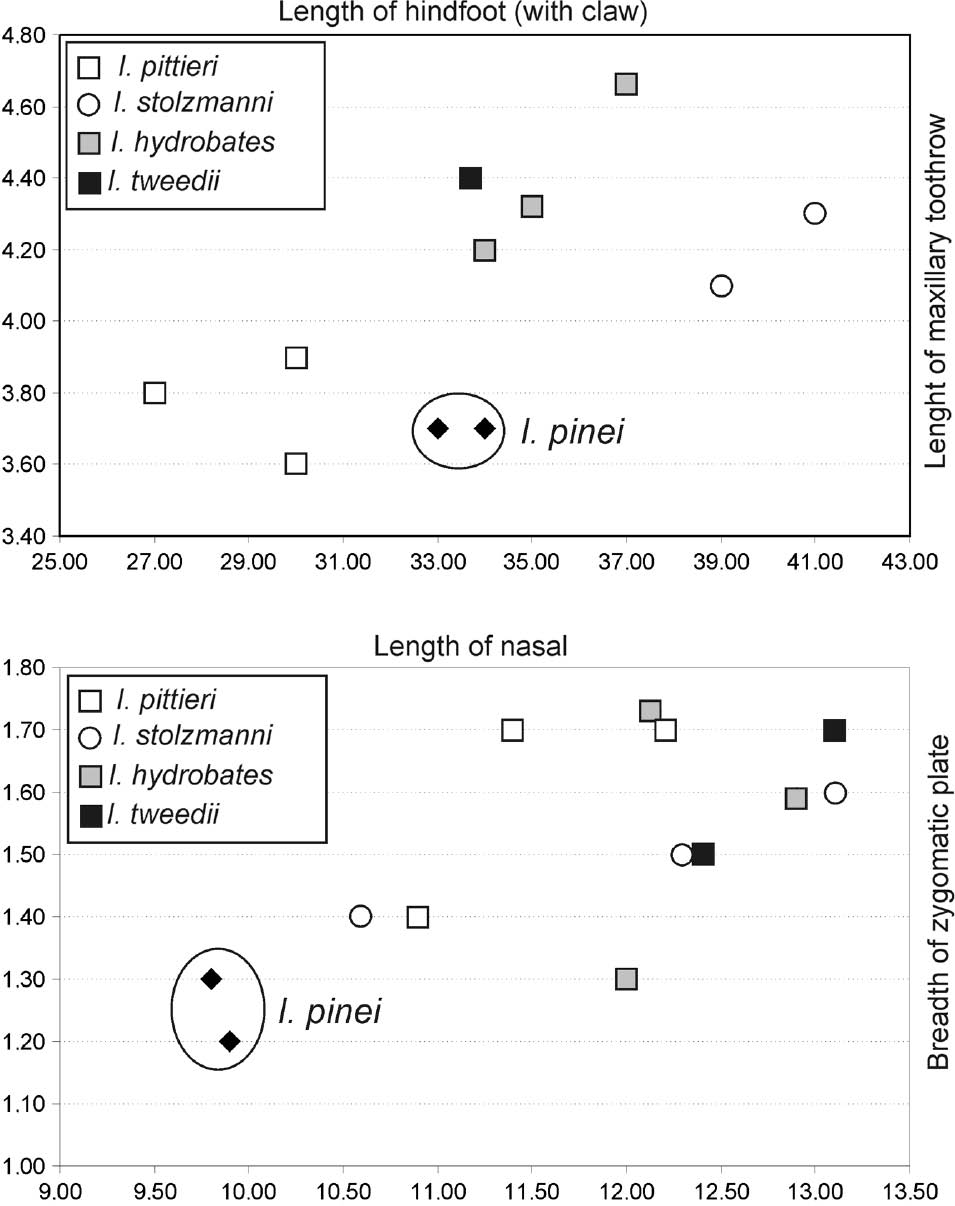 A new species of crab-eating rat of the genus Ichthyomys, from Ecuador ...