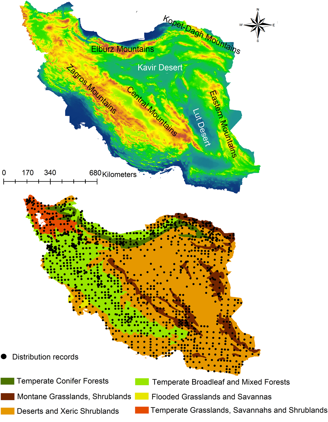 Biogeography of rodents in Iran: species richness, elevational ...
