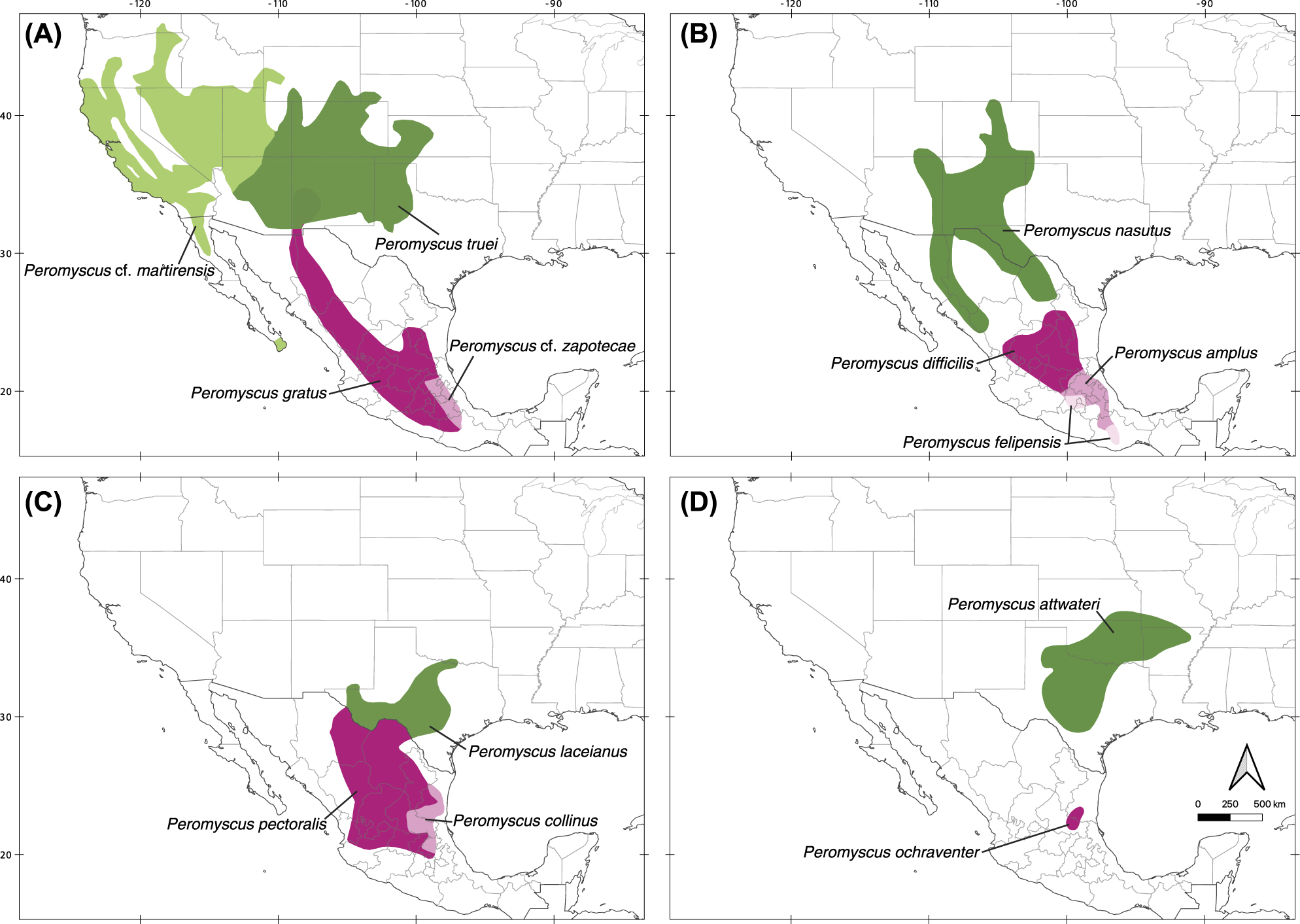 Mitochondrial DNA and other lines of evidence clarify species diversity ...