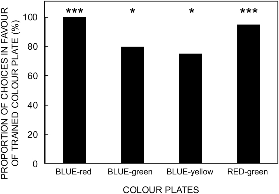 Associative colour learning and discrimination in the South African ...