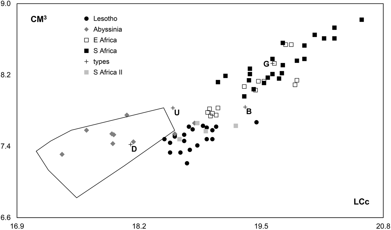 On the systematic position of the horseshoe bats (Mammalia: Chiroptera ...