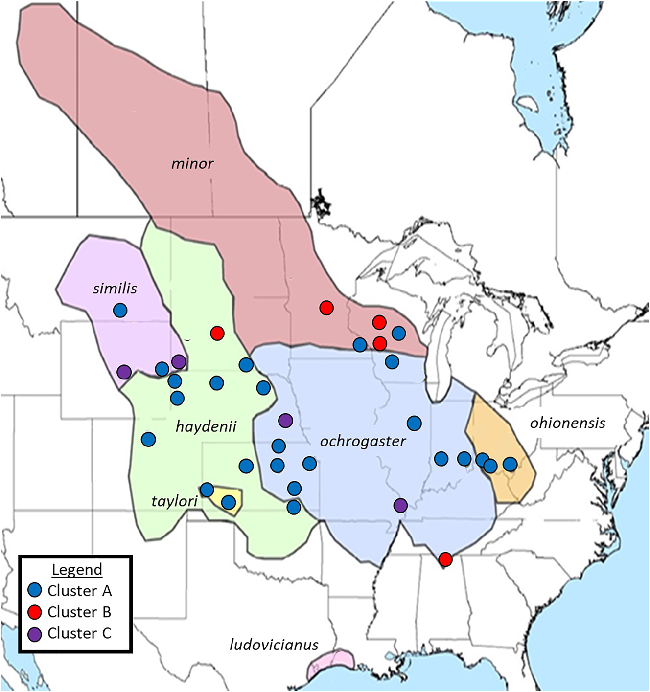 Genetic variation of cytochrome b in the prairie vole (Microtus ...