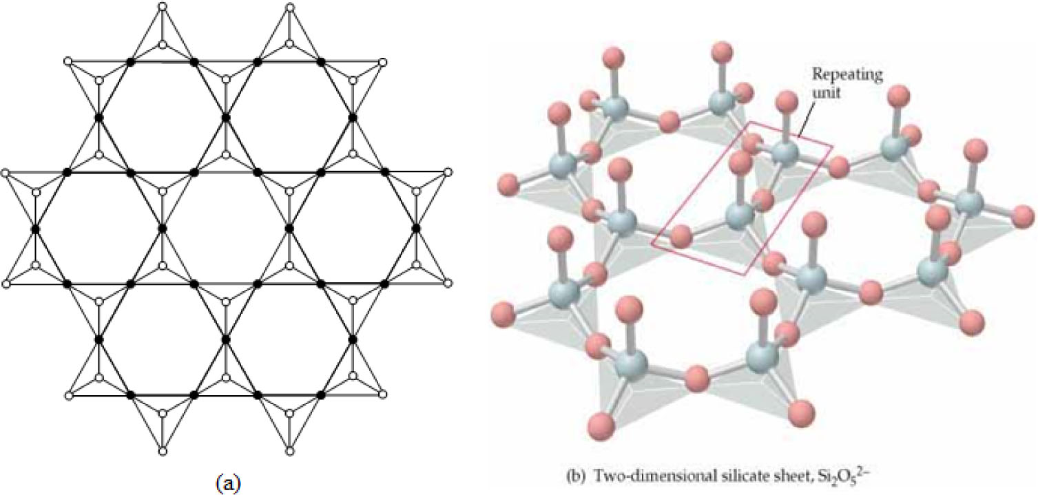 Strong edge geodetic problem in networks
