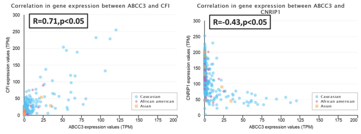 Bioinformatics Analysis of the Expression of ATP binding cassette ...