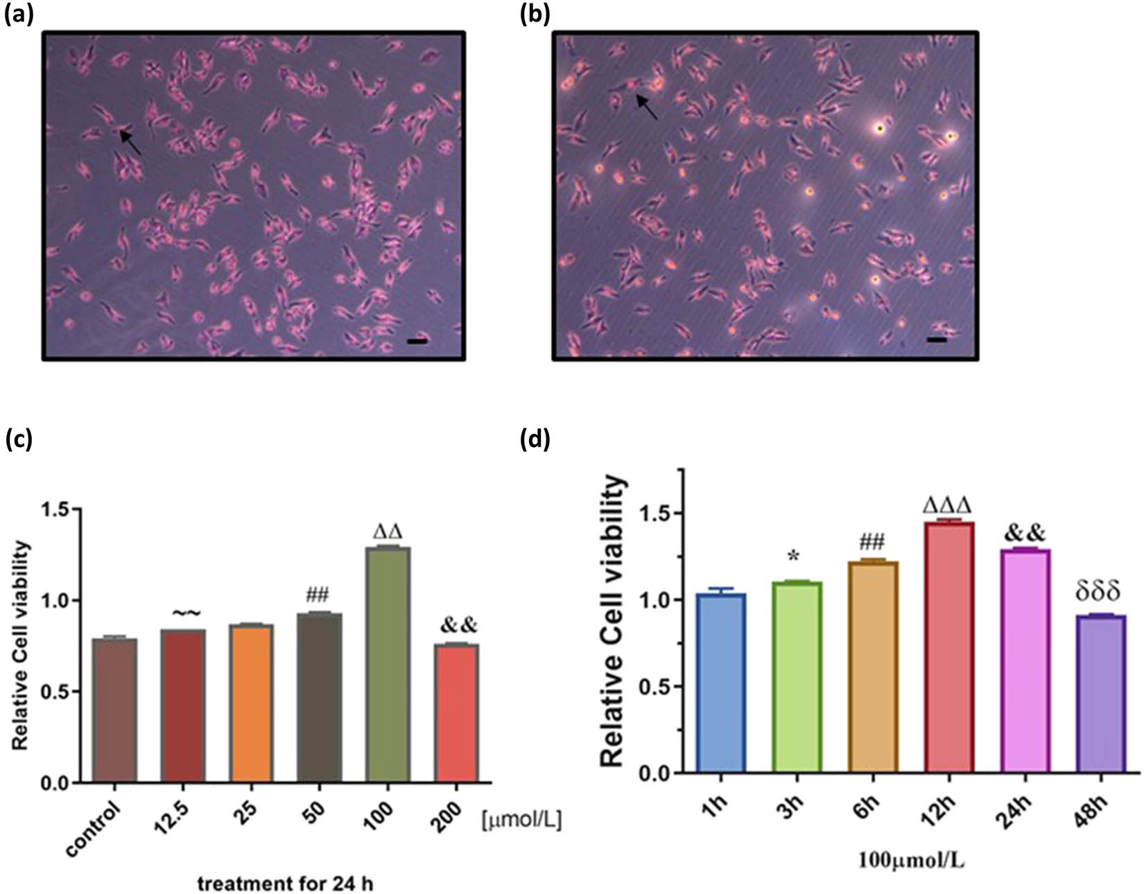 Novel H2S donor proglumide-ADT-OH protects HUVECs from ox-LDL-induced ...