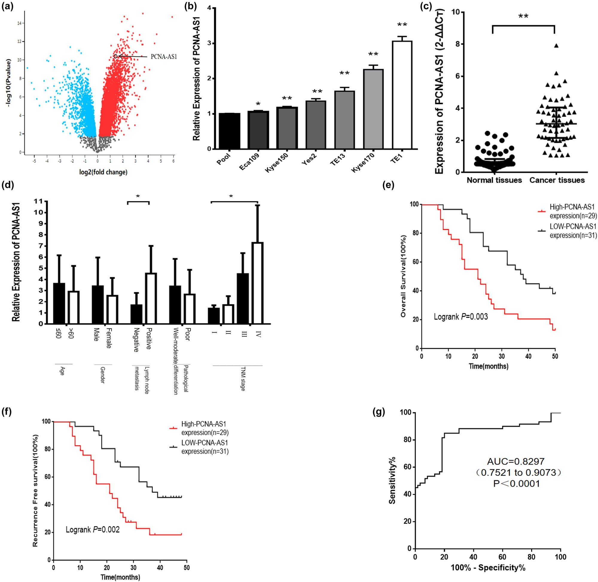 Antisense lncRNA PCNA-AS1 promotes esophageal squamous cell carcinoma ...