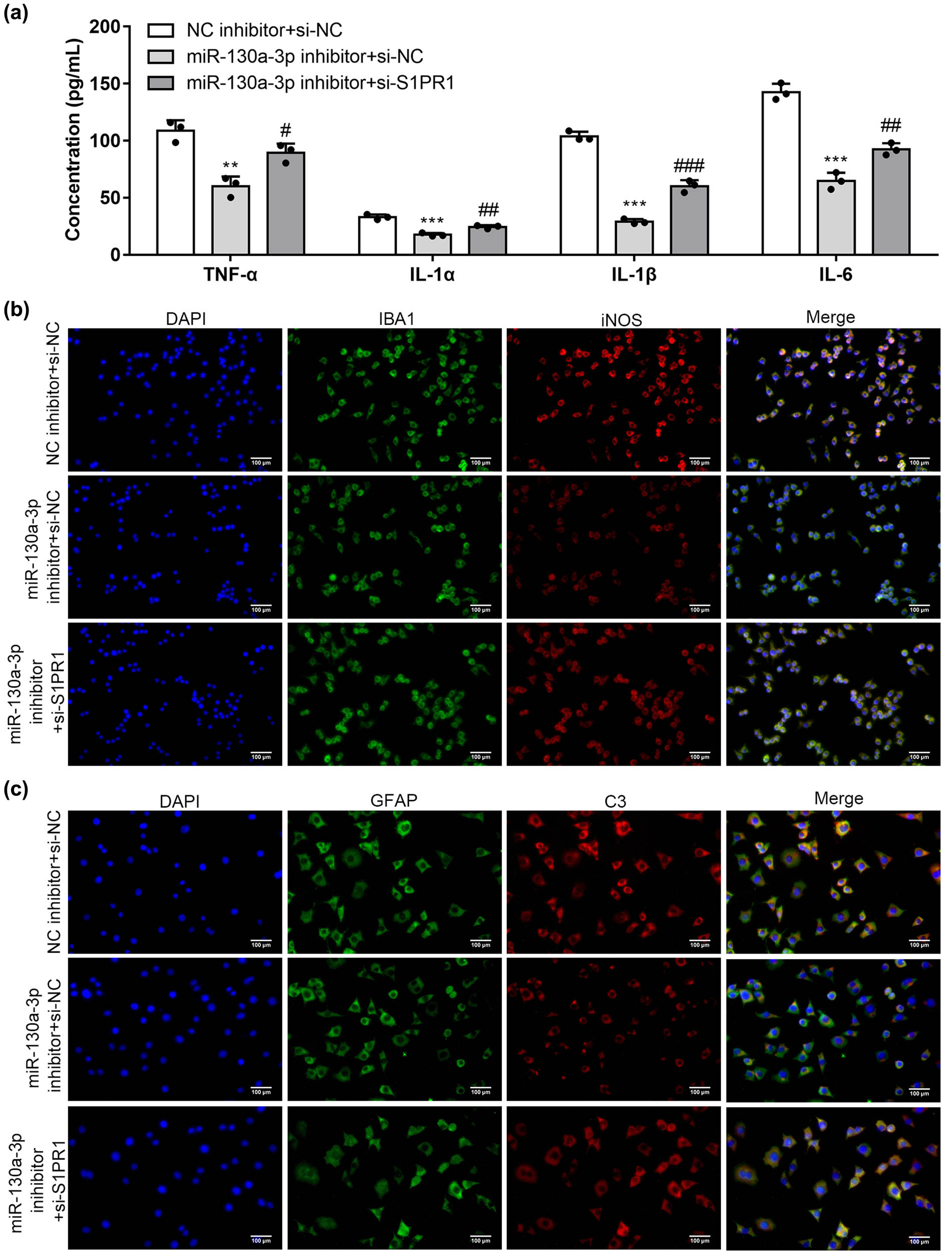 miRNA-130a-3p targets sphingosine-1-phosphate receptor 1 to activate ...