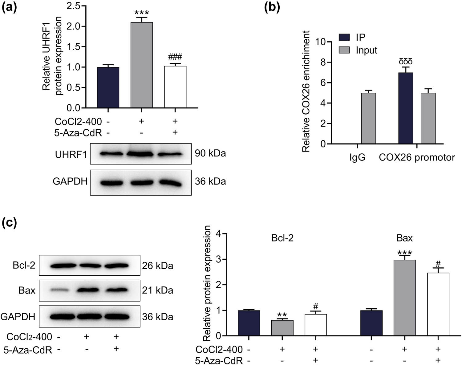 UHRF1-induced connexin26 methylation is involved in hearing damage ...