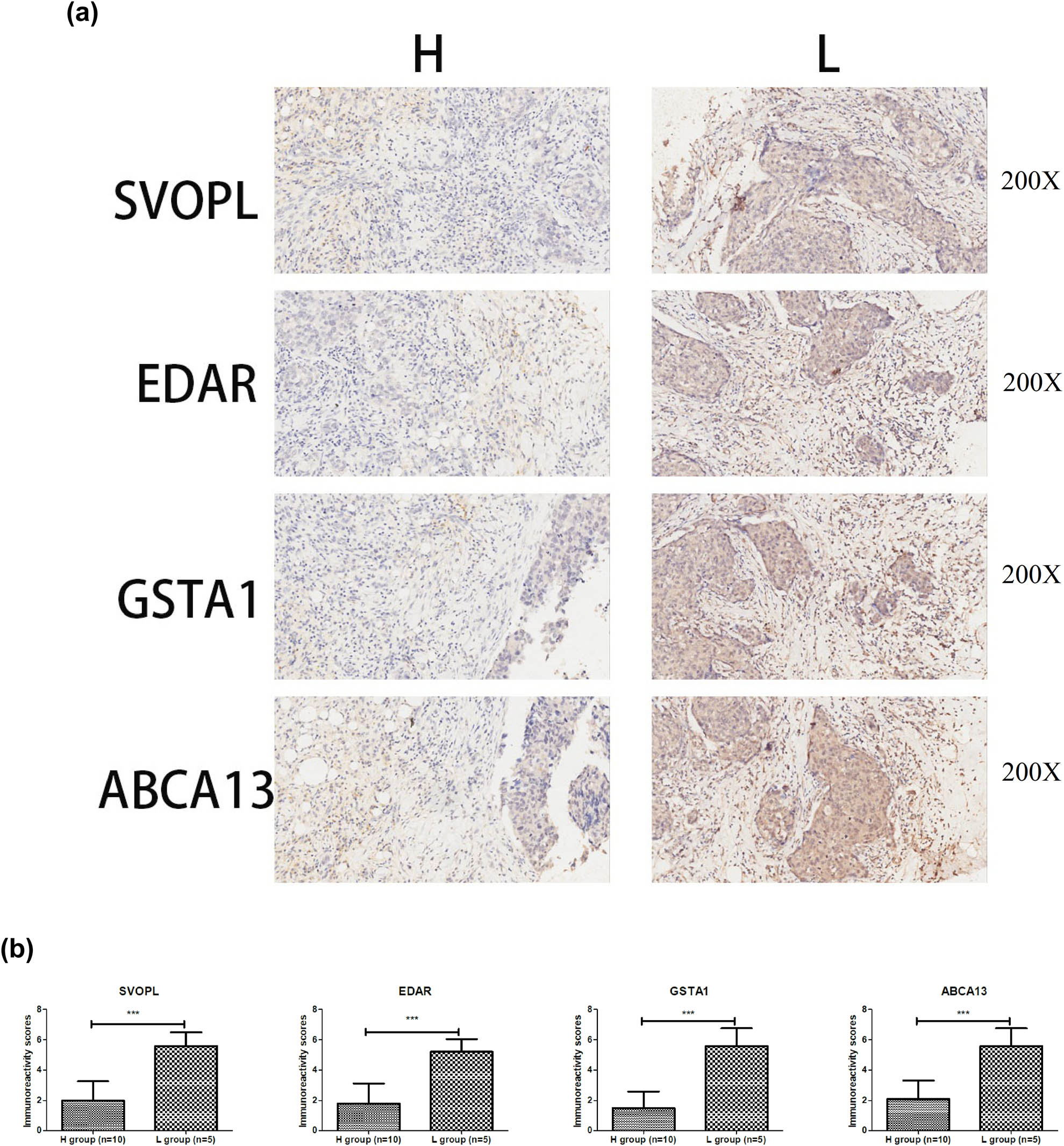 WGCNA-based identification of potential targets and pathw...