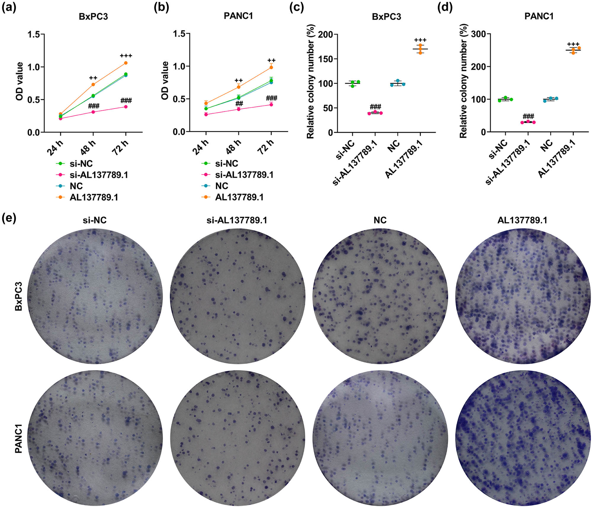 Long non-coding RNA AL137789.1 promoted malignant biological behaviors ...