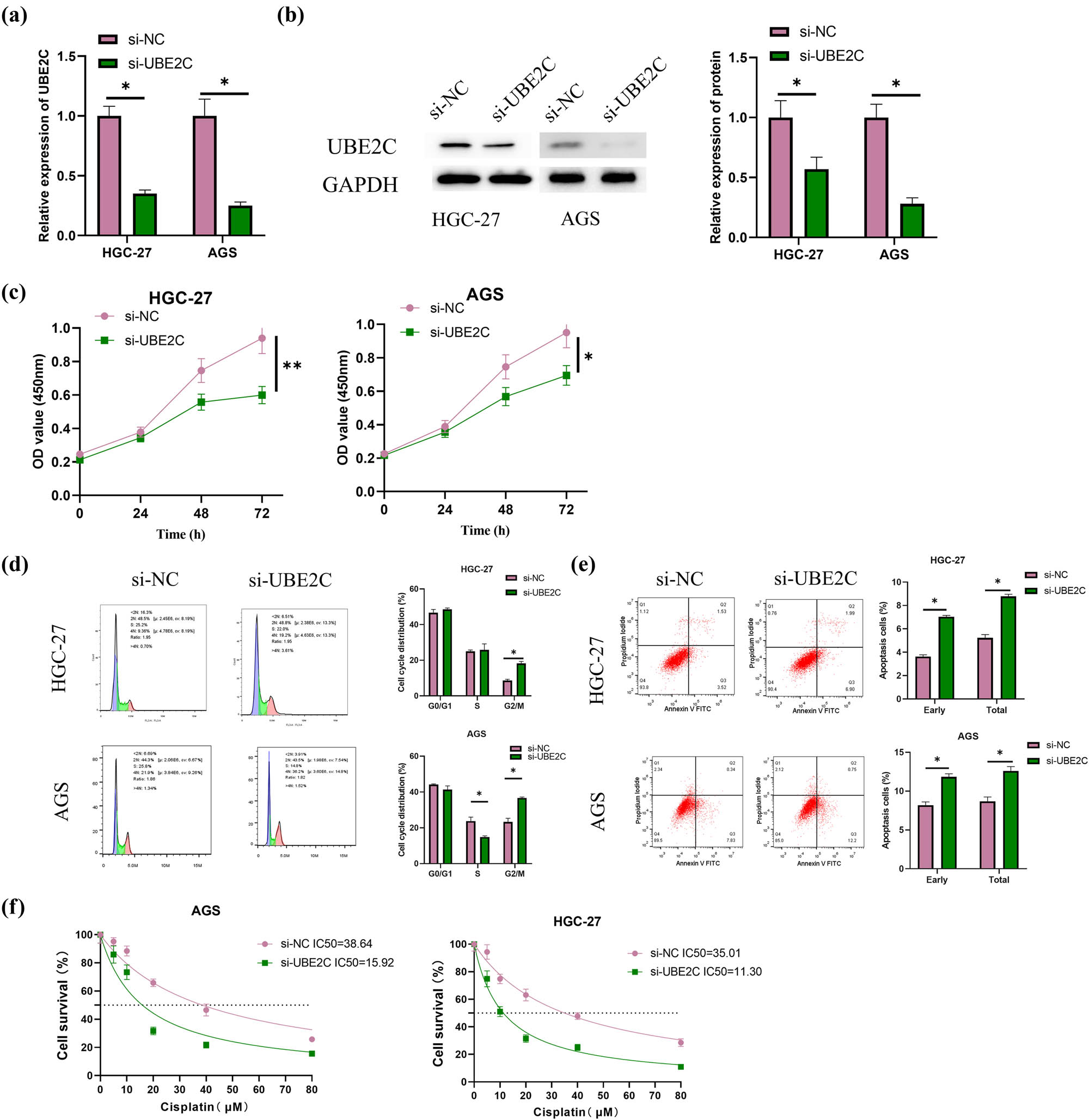 Activation of UBEC2 by transcription factor MYBL2 affects DNA damage ...