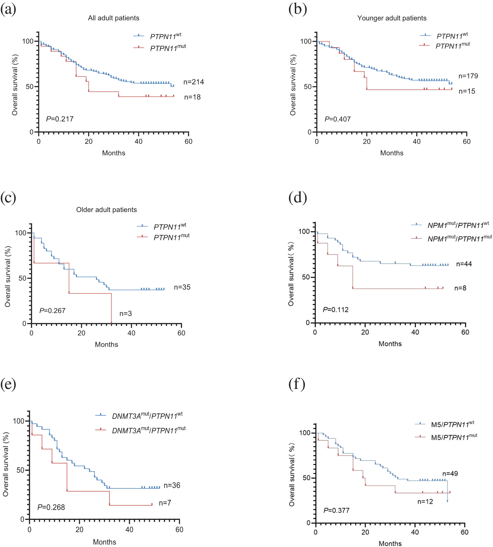 Analysis of the clinical characteristics and prognosis of adult de novo ...