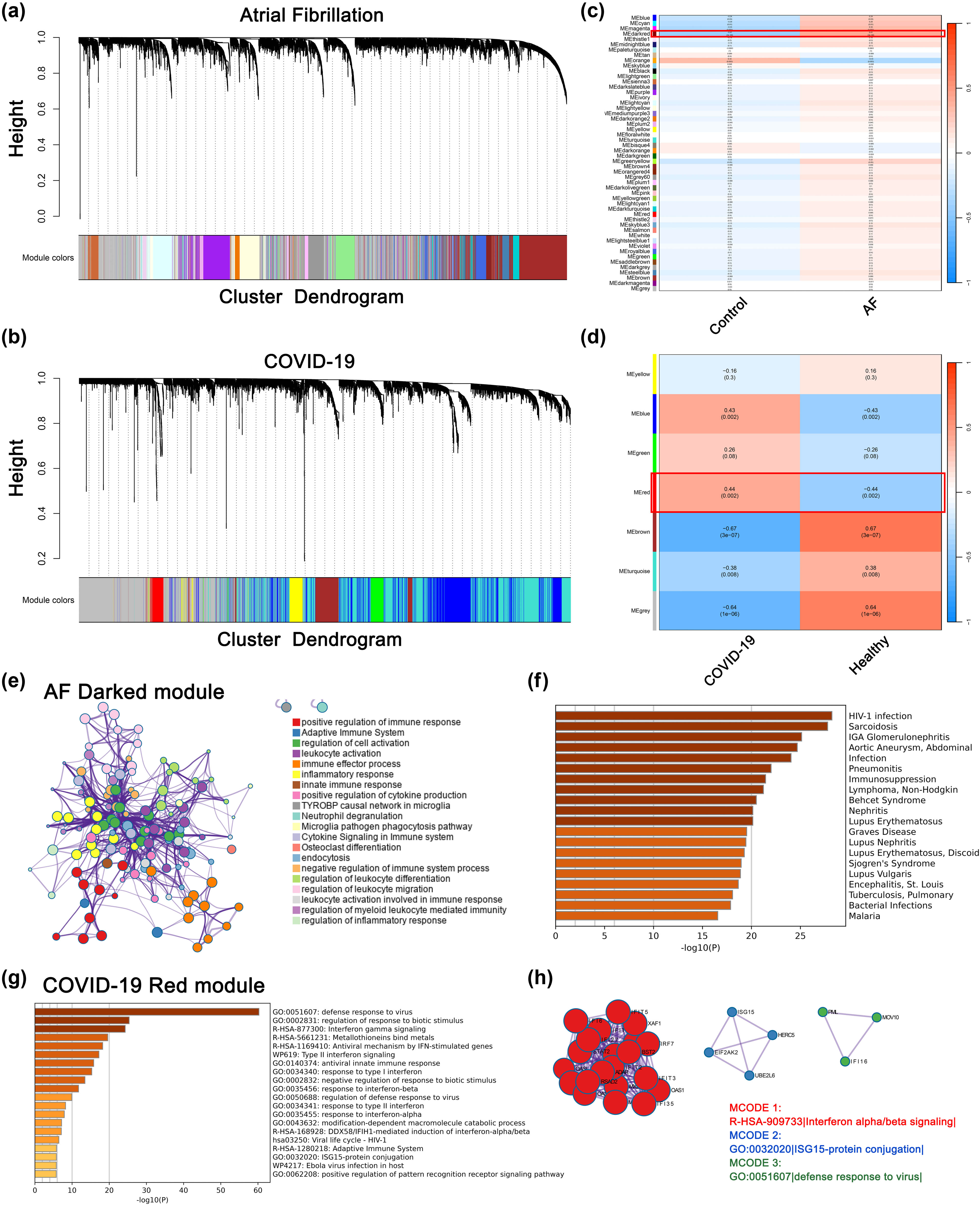 Integrative bioinformatics analysis reveals STAT2 as a novel biomarker ...
