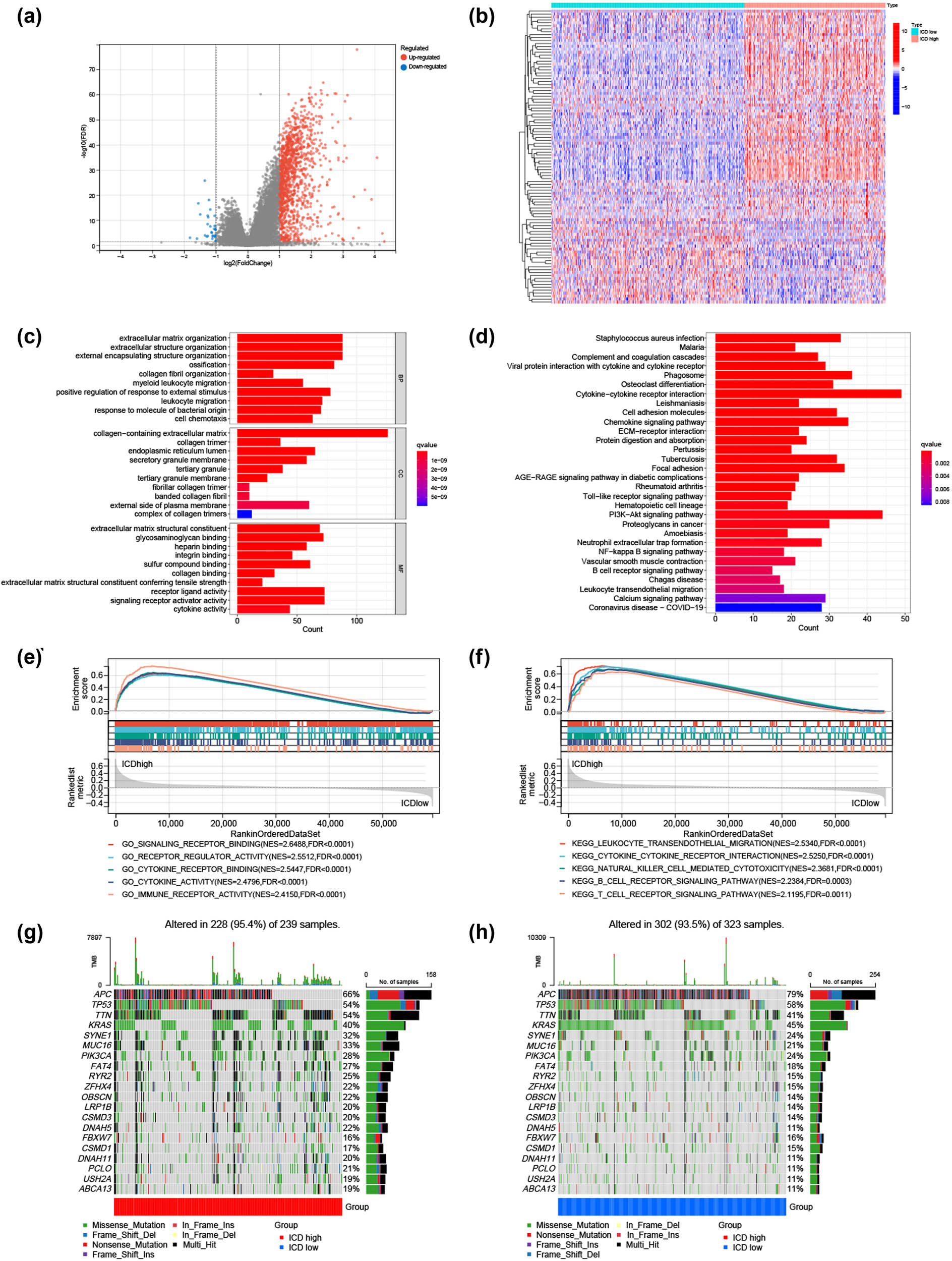 Construction of immunogenic cell death-related molecular subtypes and ...