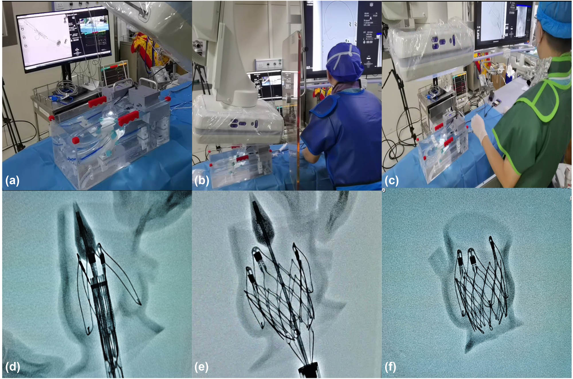 Feasibility of 3-dimensional printed models in simulated training and ...
