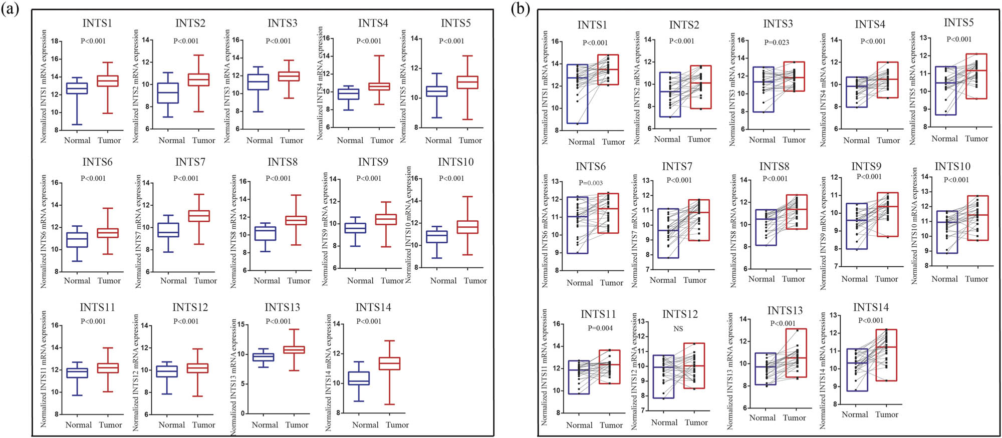 Comprehensive landscape of integrator complex subunits and their association with prognosis and ...