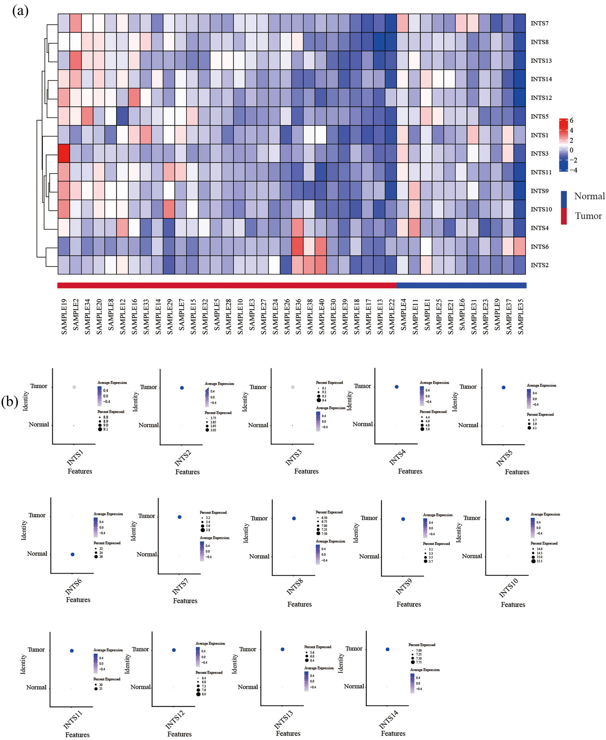 Comprehensive landscape of integrator complex subunits and their association with prognosis and ...