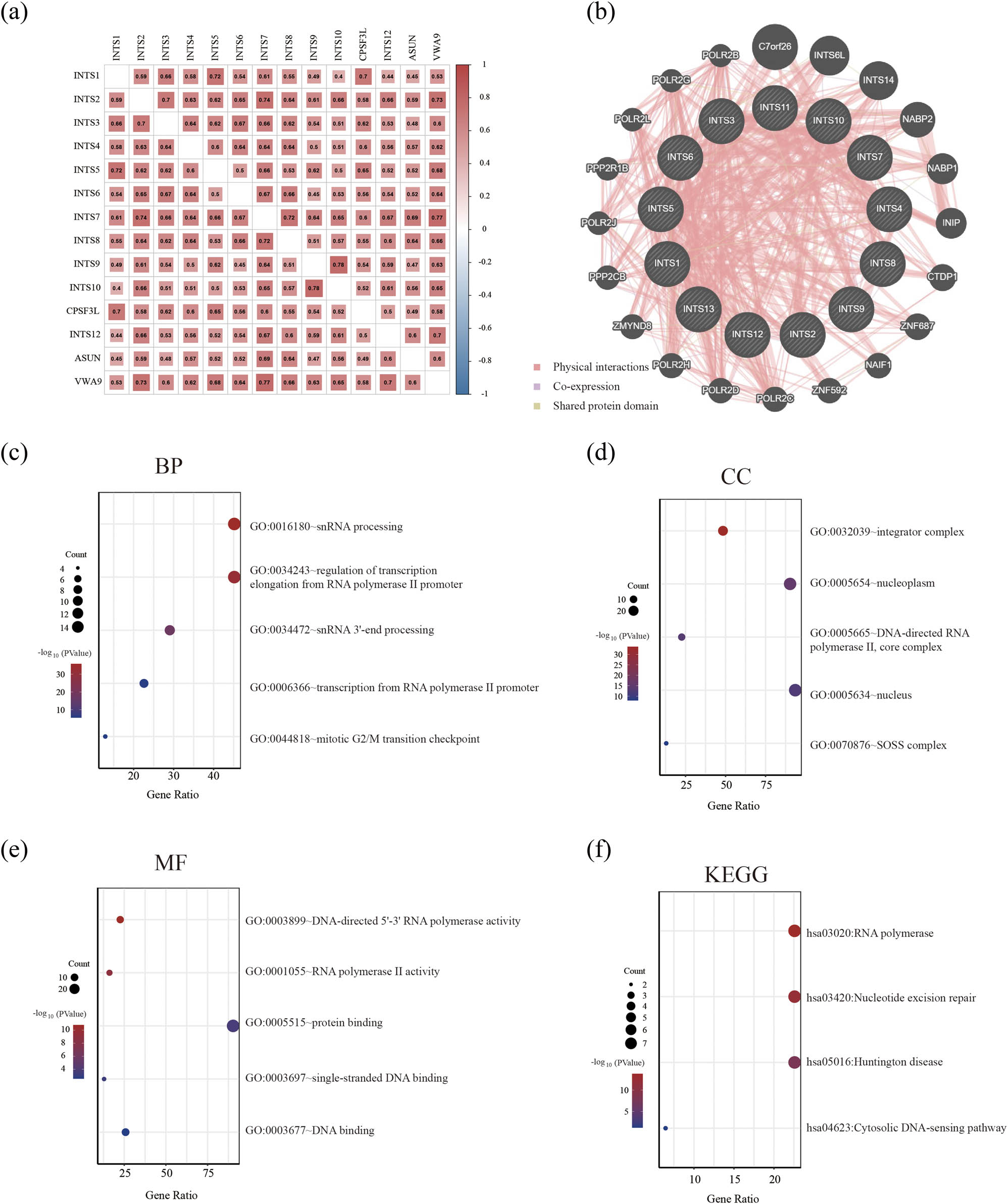 Comprehensive landscape of integrator complex subunits and their association with prognosis and ...