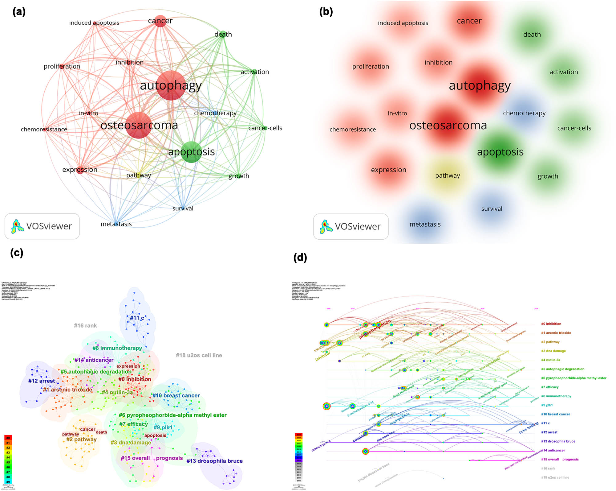Trends and future directions of autophagy in osteosarcoma: A ...