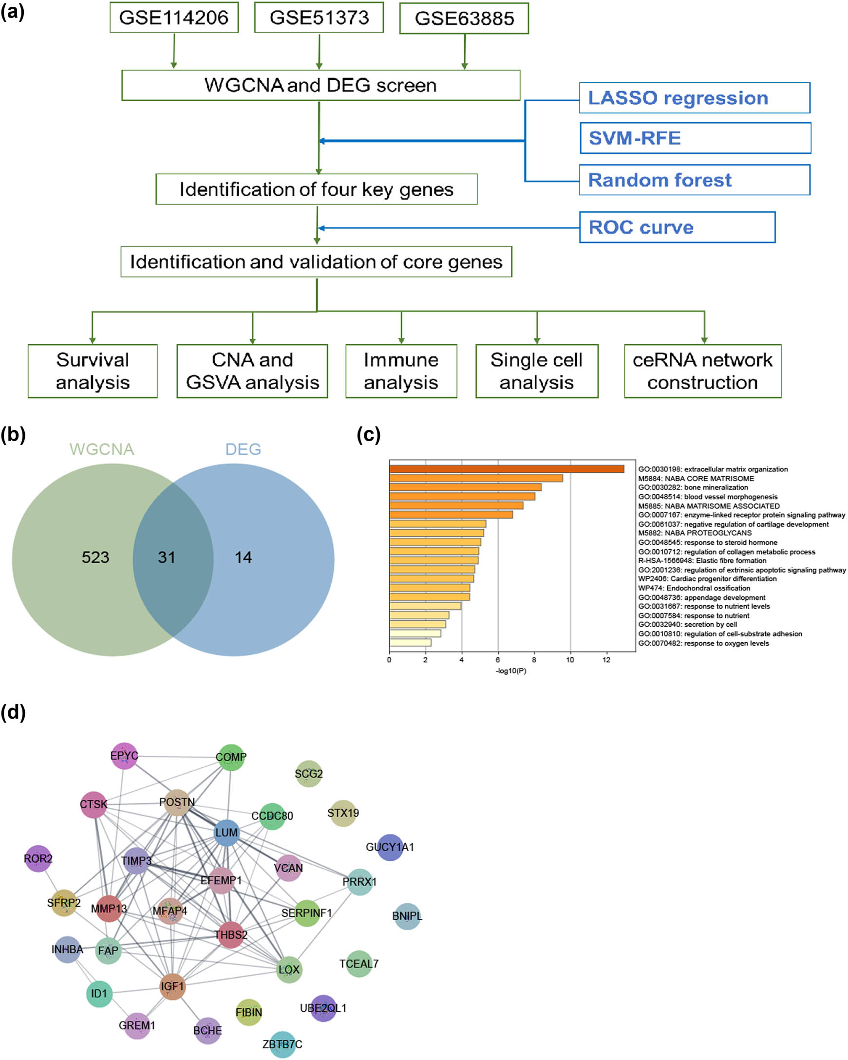 Unveiling novel biomarkers for platinum chemoresistance i...