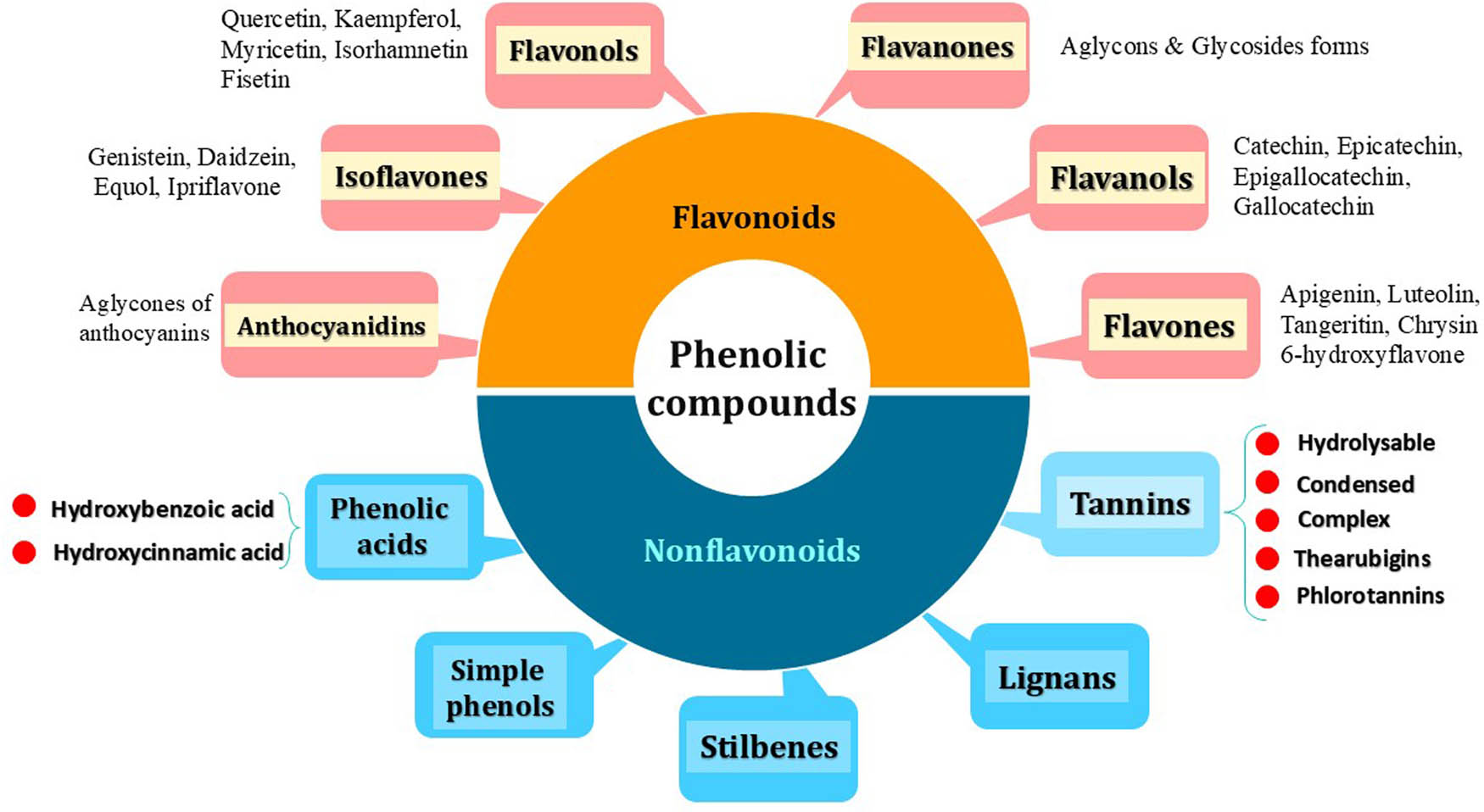 Plant polyphenols, terpenes, and terpenoids in oral health