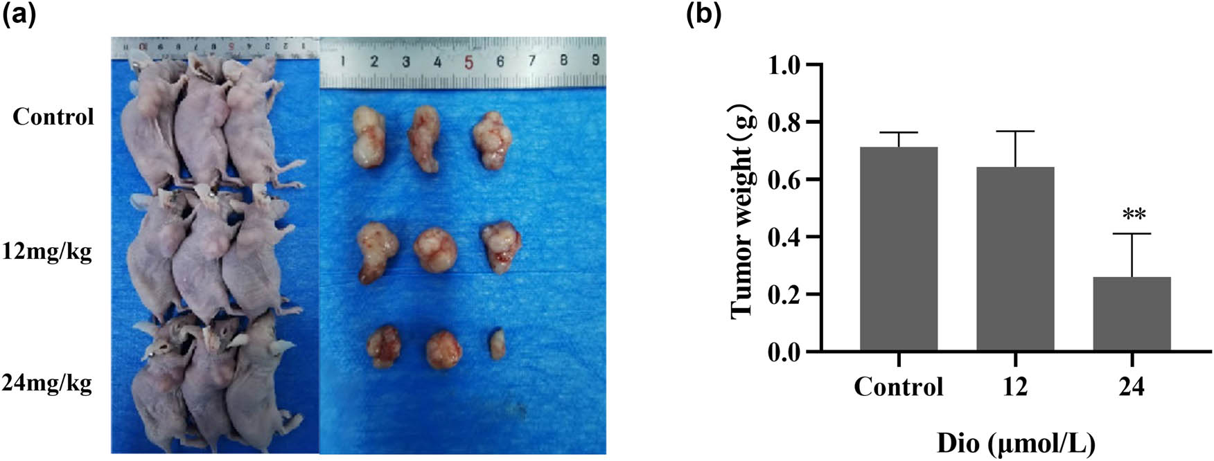 Integrating experimental and network pharmacology to explore the ...
