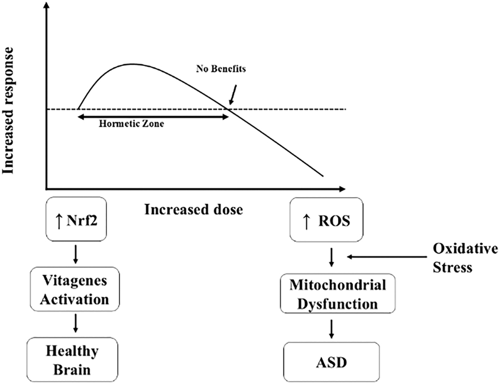 Neuronutrition in autism spectrum disorders