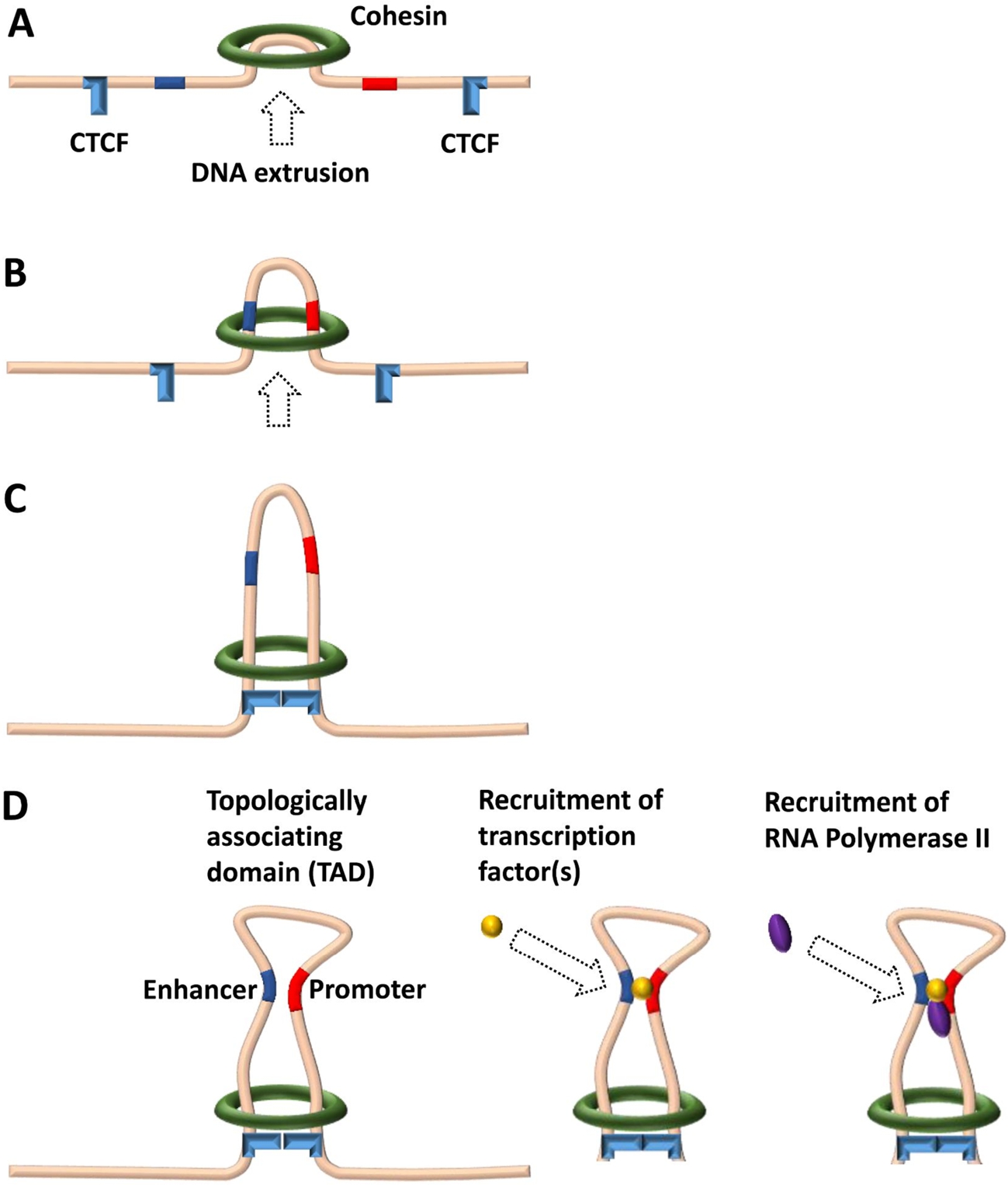 How to find genomic regions relevant for gene regulation