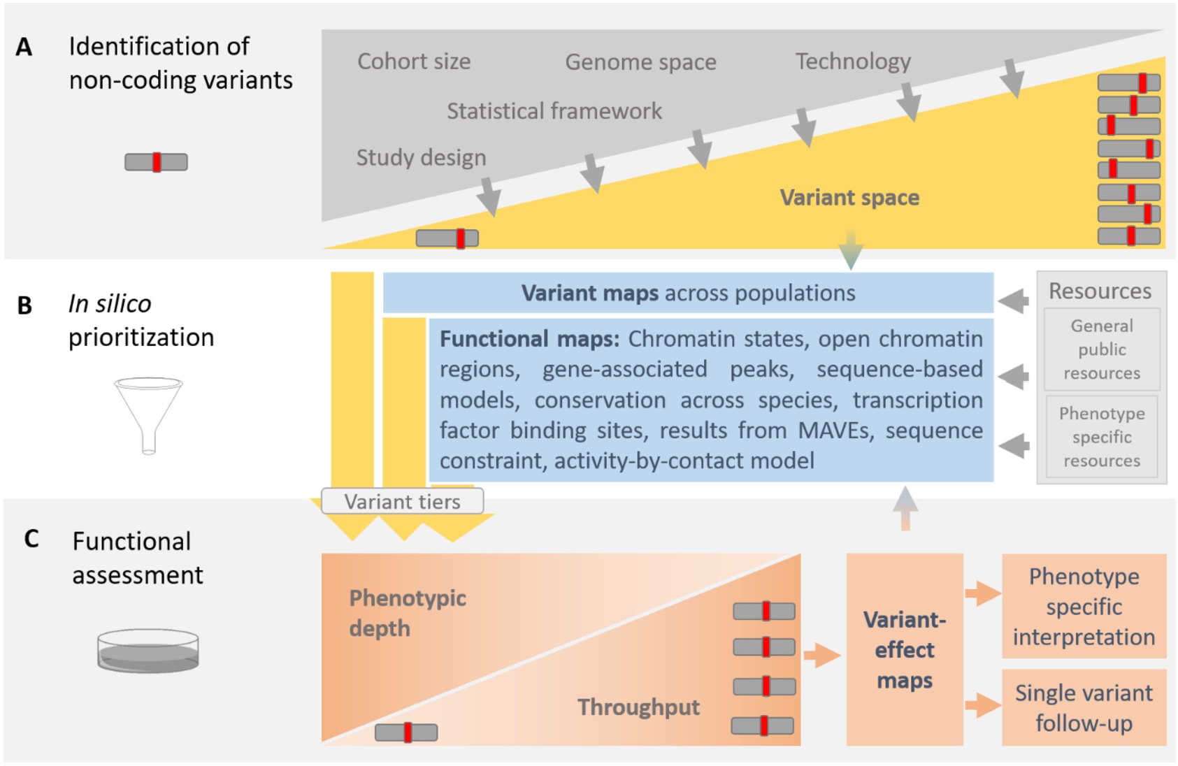 Systematic assays and resources for the functional annotation of non-coding variants