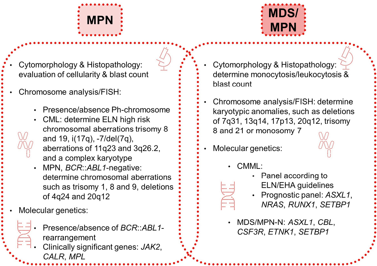Genetic alterations in myeloproliferative and myelodysplastic ...