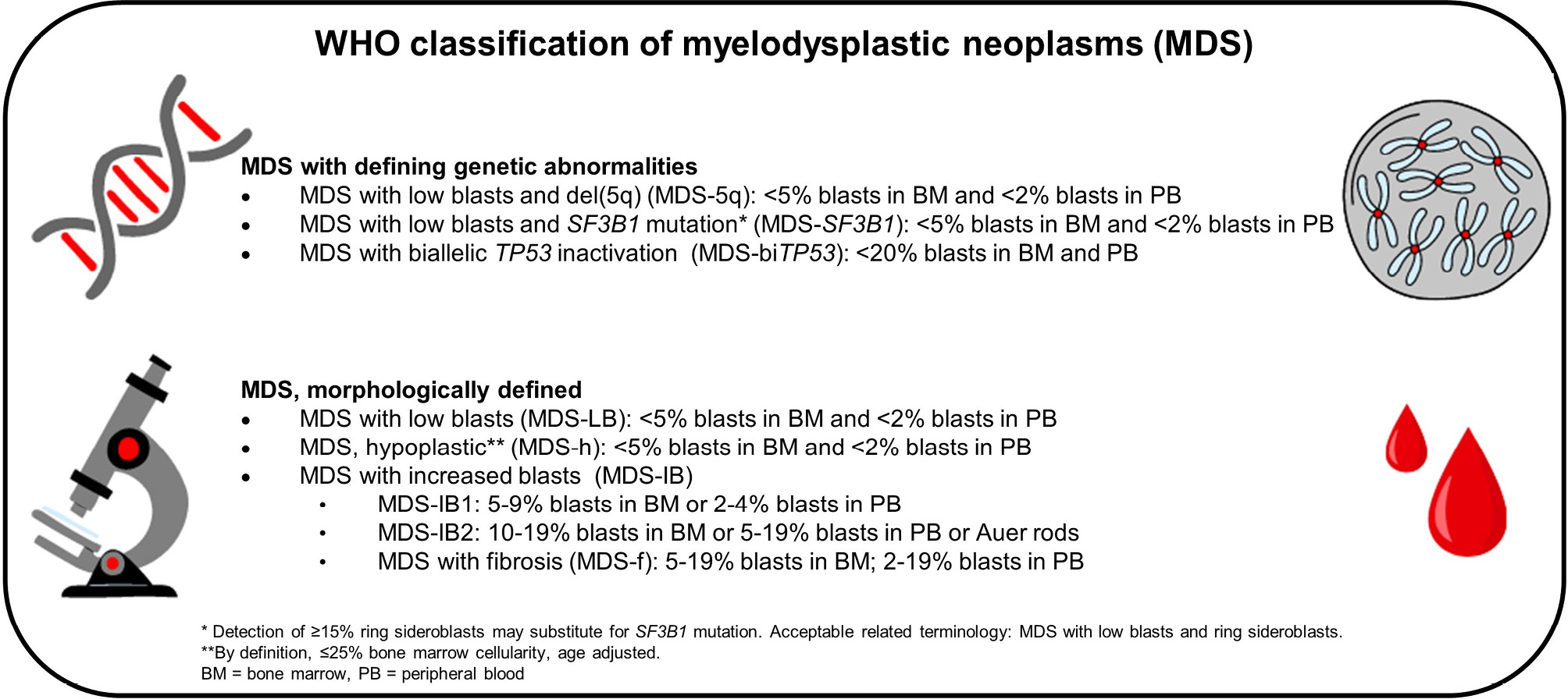 Genetic studies in clonal haematopoiesis, myelodysplastic...