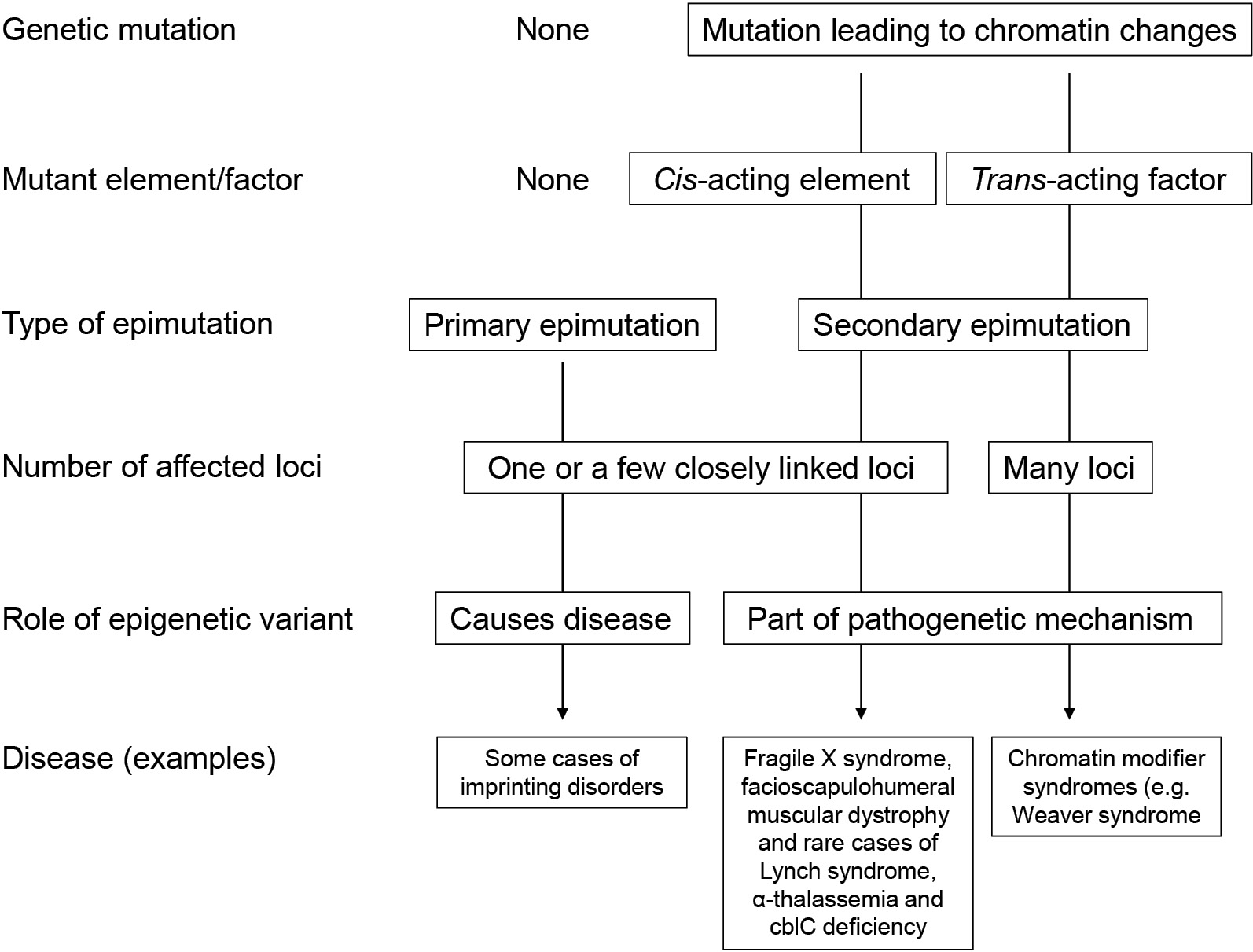 The role of epigenetics in rare diseases