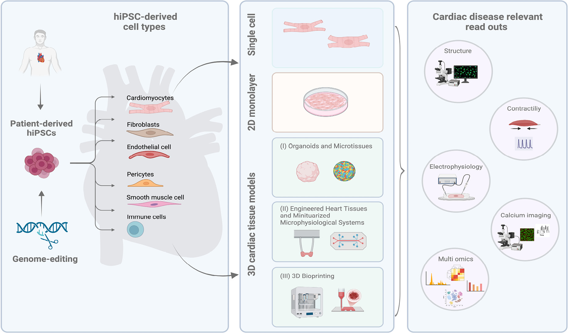 Advances in human induced pluripotent stem cell (hiPSC)-based disease ...