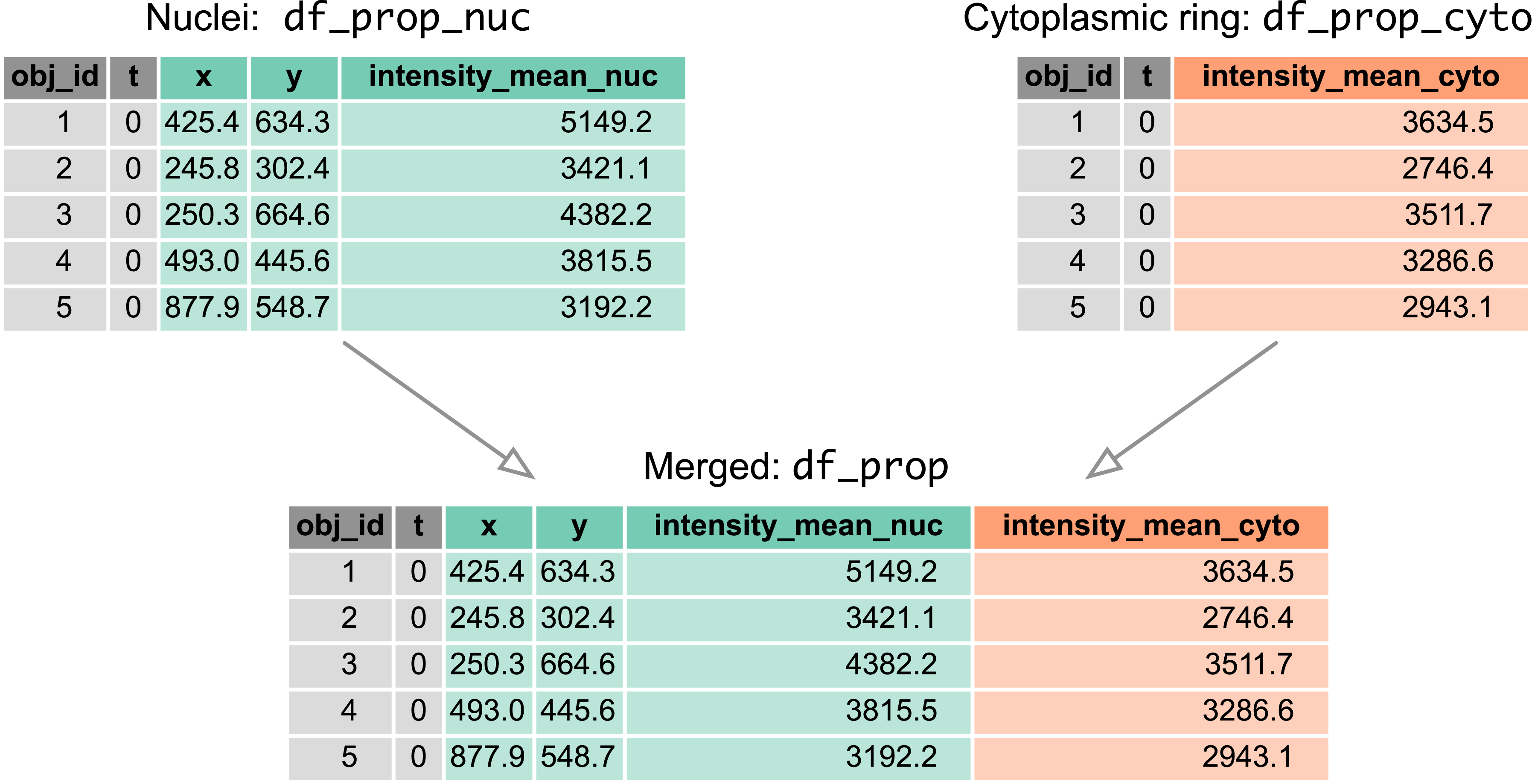 Quantification of collective signalling in time-lapse microscopy images