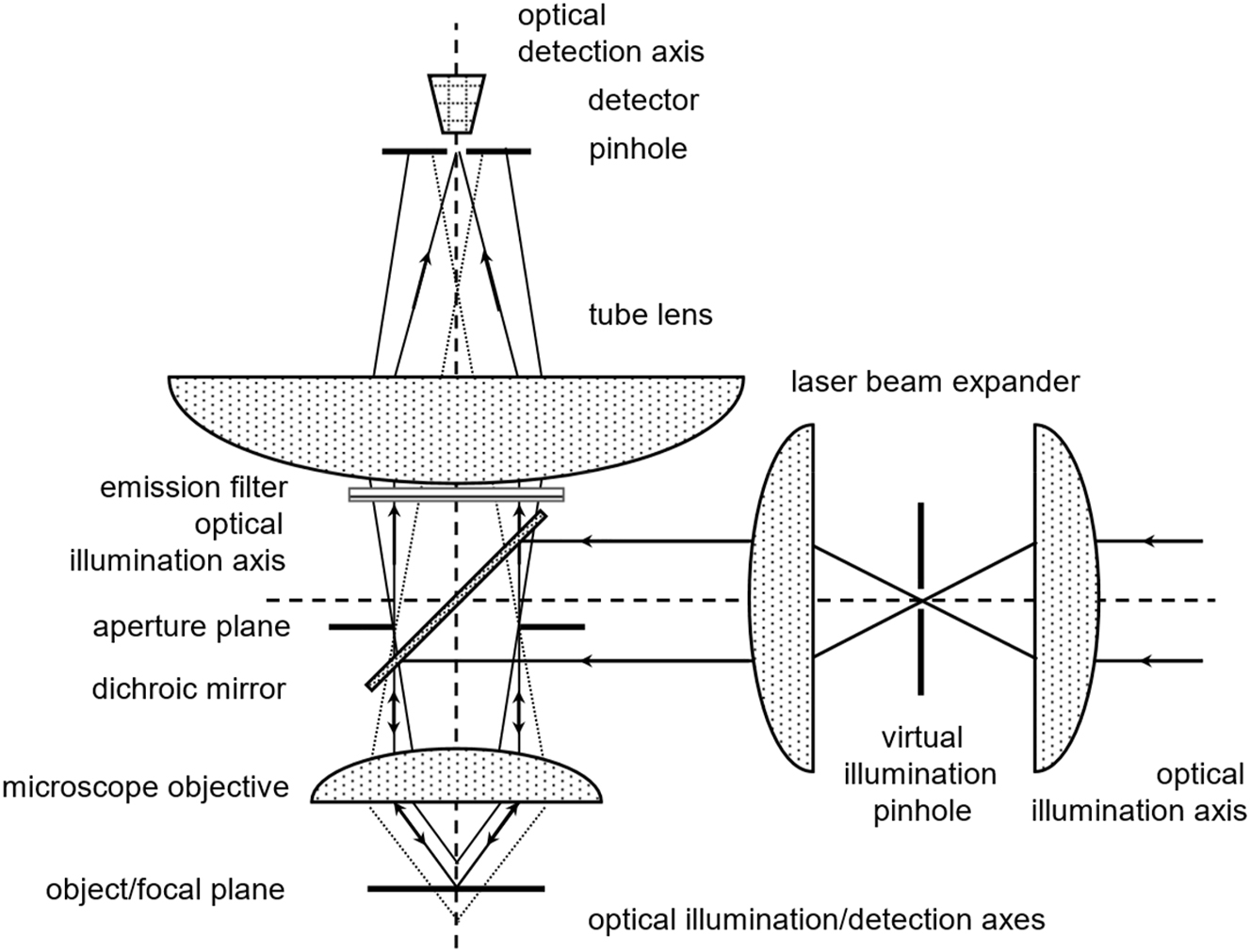 Optical sectioning in fluorescence microscopies is essential for ...