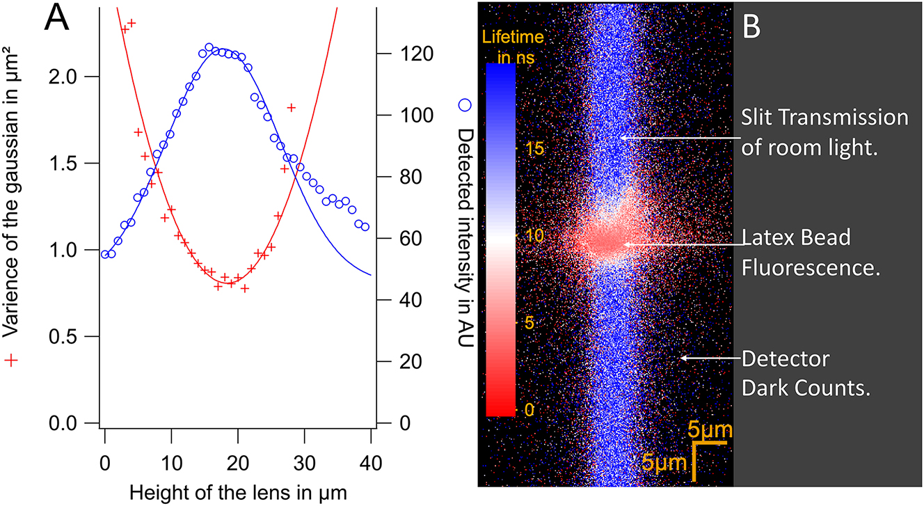 Spectro-FLIM for heritage: scanning and analysis of the time resolved ...