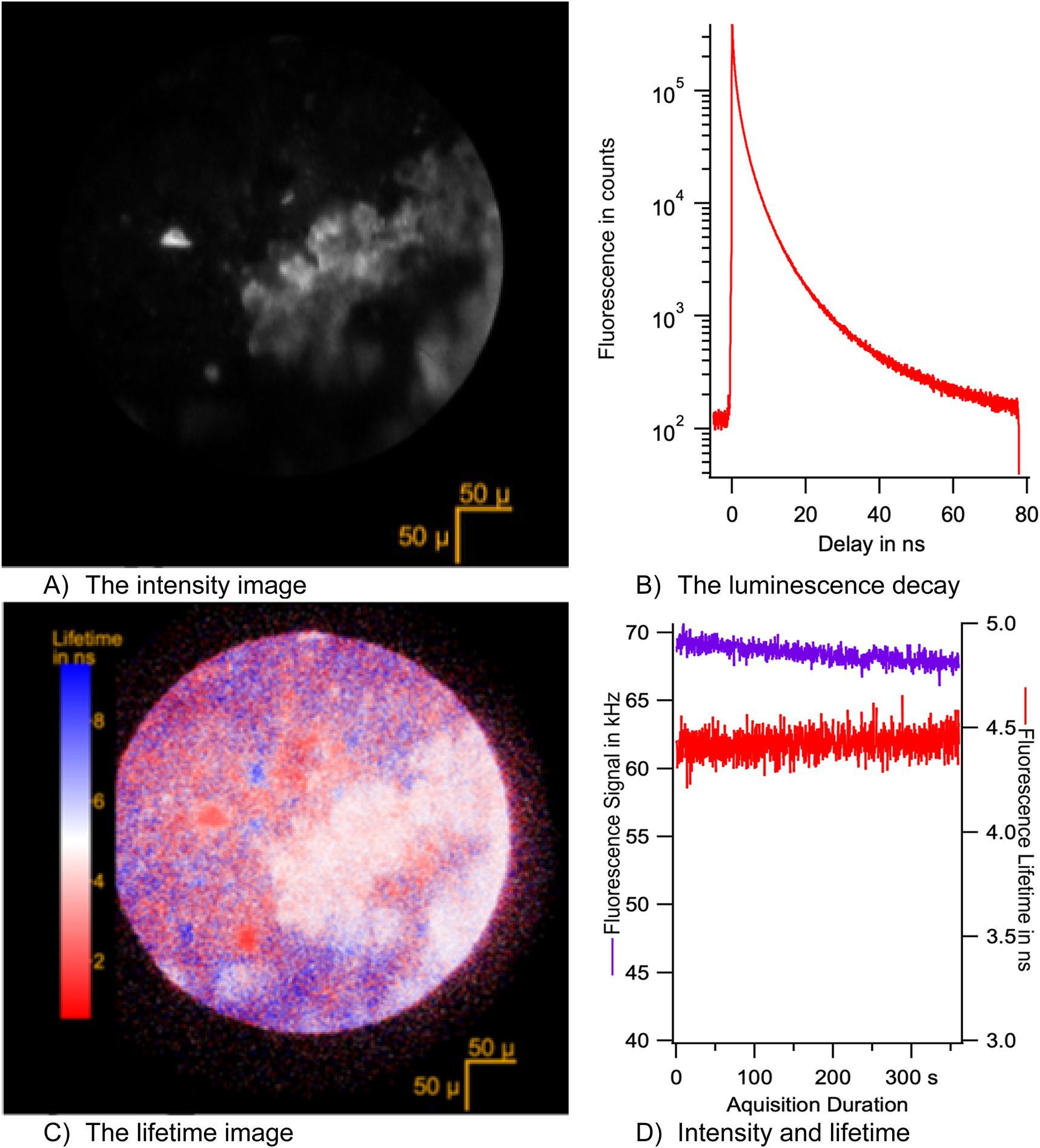 Spectro-FLIM for heritage: scanning and analysis of the time resolved ...